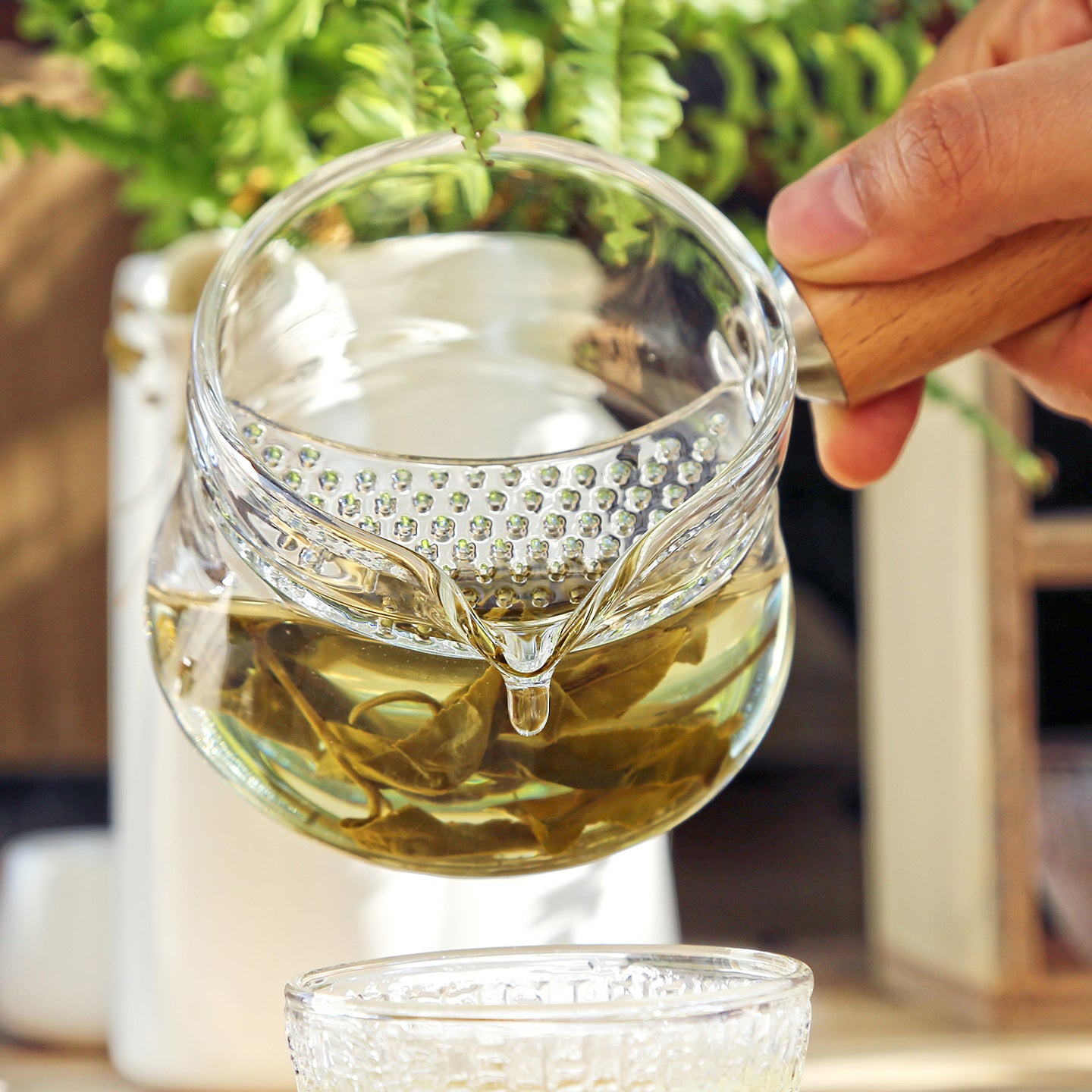 Loose Leaf Tea Pitcher - Simple Glass Filter Pitcher 250ml – EILONG®